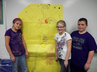 SCC 5th Grade: Human Body Final Projects