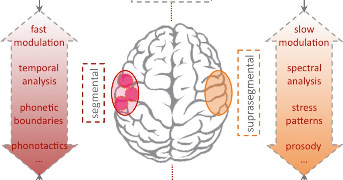 Berbagi Ilmu: Segmental dengan Suprasegmental