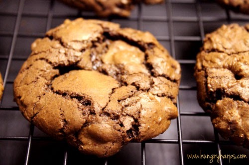 Hungry Harps: Double Chocolate Chip Cookies with Hazelnuts