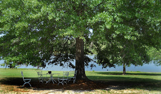Cochino Lodge Weddings: Candace Lovett and Jason Nihols from Lufkin ...