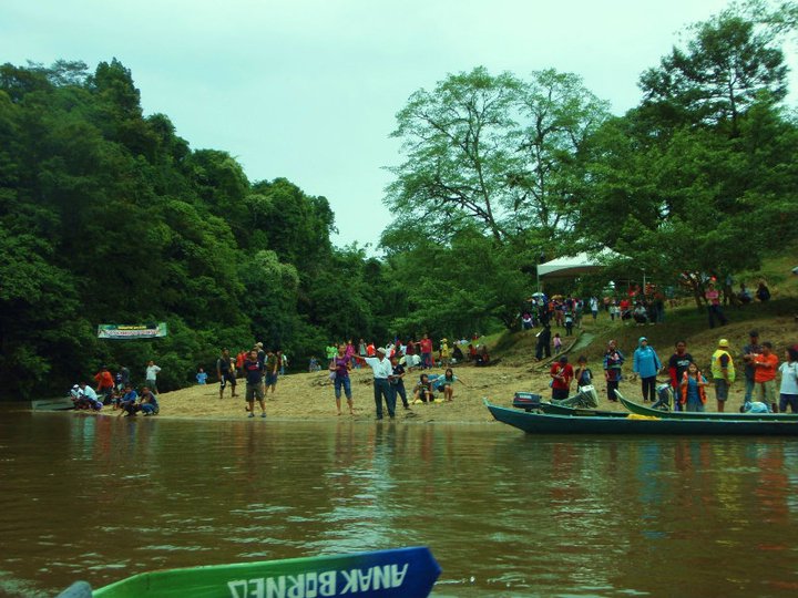 Cats City Hornbill Land: PADAWAN FEST RIVER SAFARI