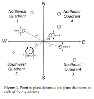 North Forward Mapping: Distance and Azimuth Surverying