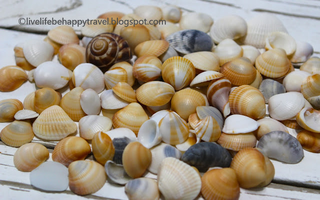 Life and Coconuts: Discovering Florida's Hidden Treasures: The Best ...