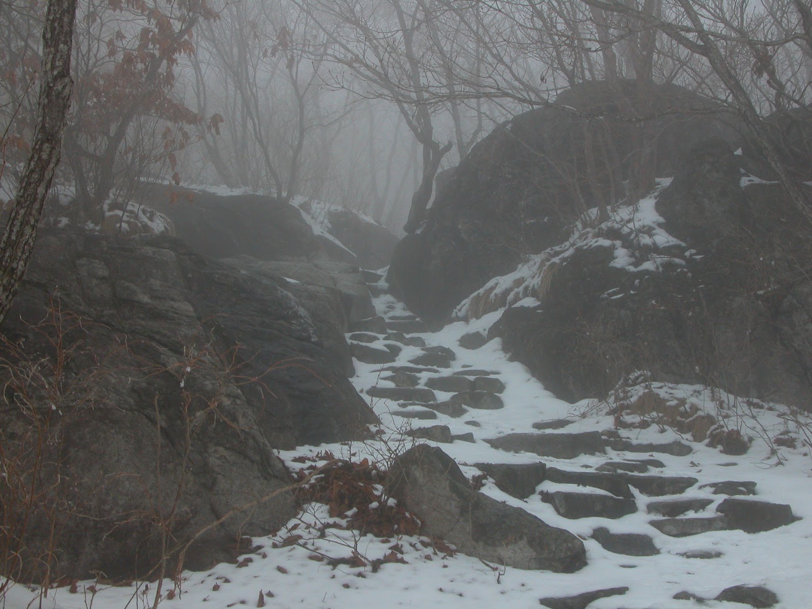 De Hanmer À Busan: Late Winter Snow on Gaya Mountain