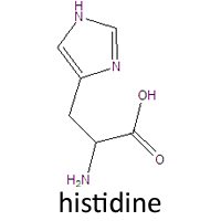 World of Biochemistry (blog about biochemistry): Amino acid with ...
