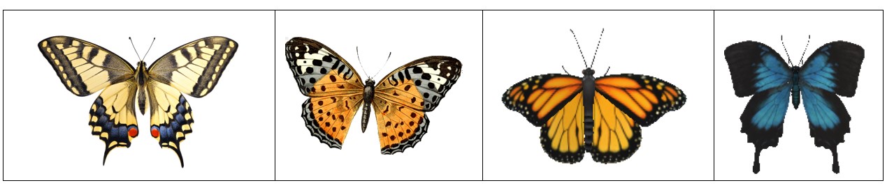 Grade-3 Science Chapter- 3 Common Insects - Insects in Our Surroundings