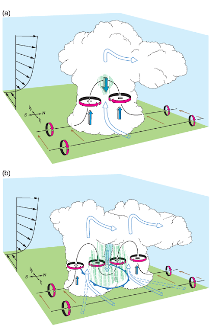 Head in the Clouds: 101: Supercell Thunderstorms