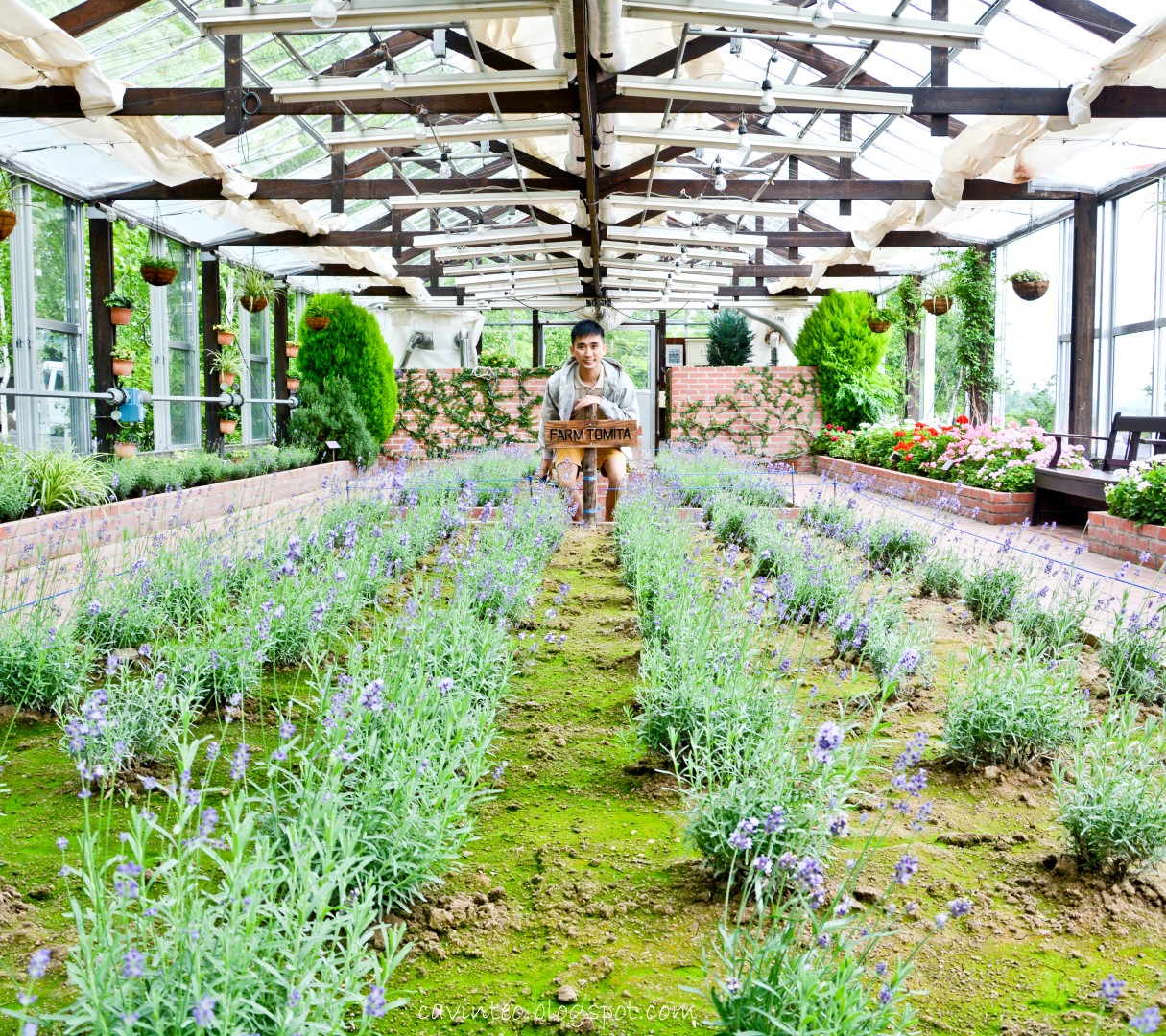 Entree Kibbles: The Greenhouse beside Hanabito Field @ Furano Farm ...