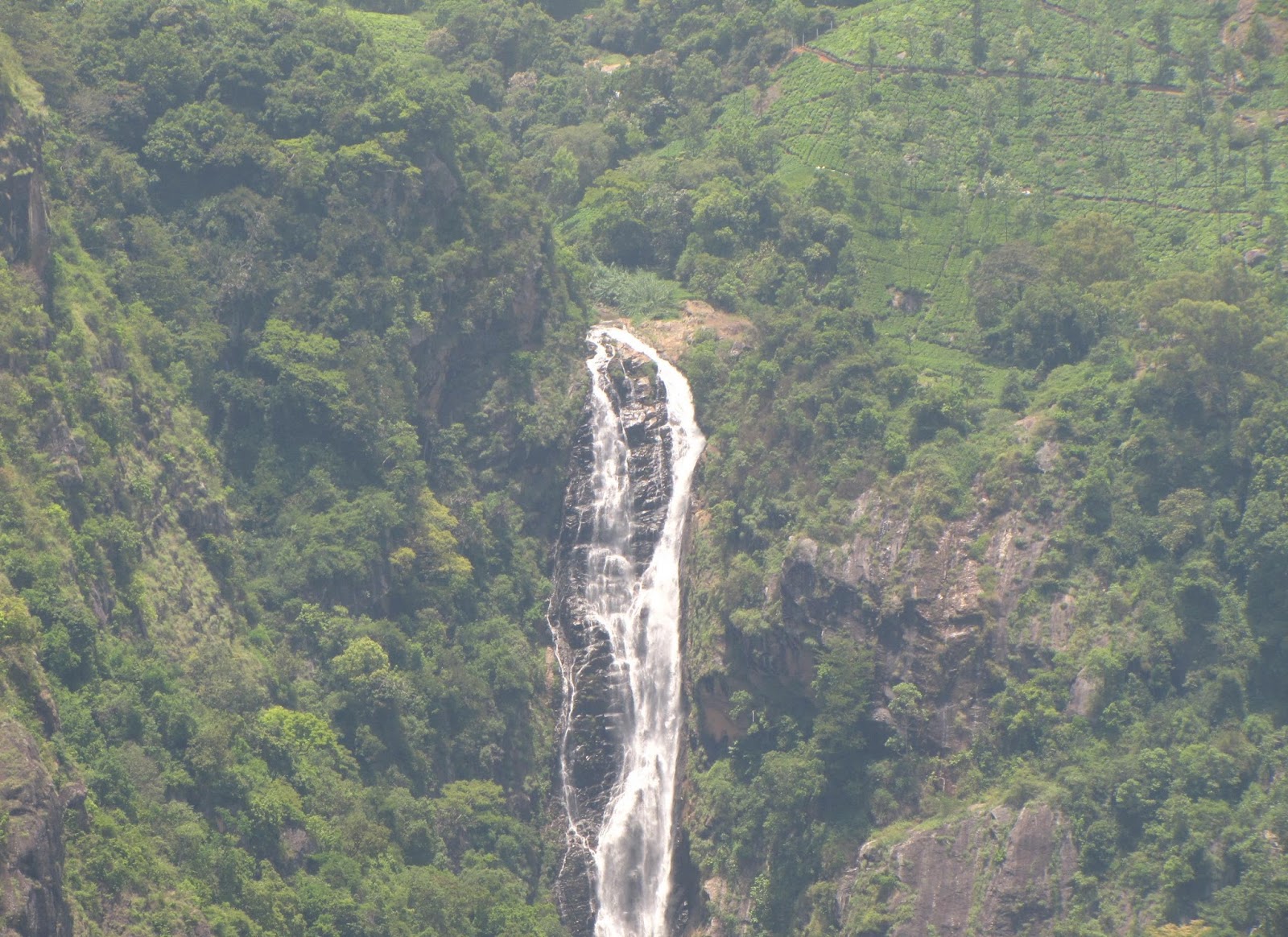 Tamilnadu Tourism: Catherine Falls, Ooty
