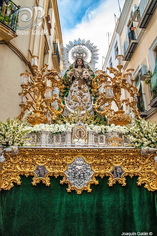 Divina Enfermera de San Martín 2.013 - A paso mudá