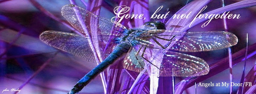 Angels at My Door: Dragonfly Facebook Header
