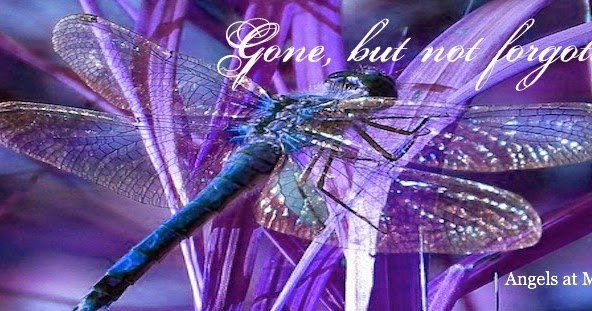 Angels at My Door: Dragonfly Facebook Header