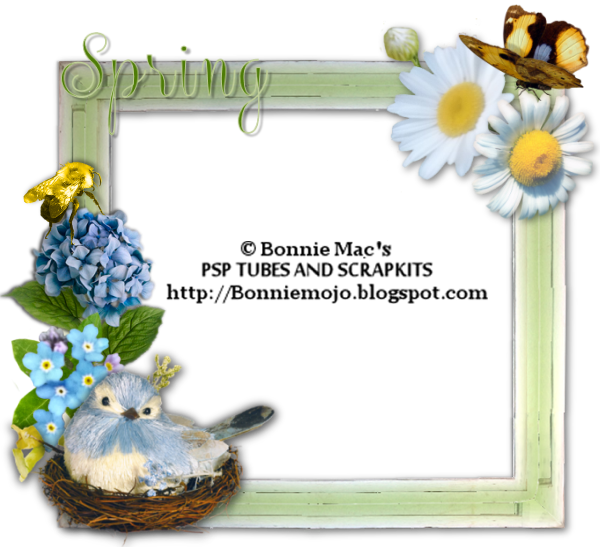 BonnieMac's PSP Tubes and Scrapkits: More Clusters - Enjoy!