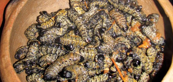 Namibia Reservations: Namibian -Culture - Tribal dishes