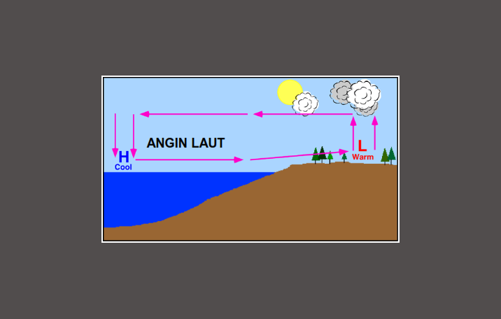 Angin : Pengertian, Fungsi, Karakteristik, Macam Jenis | Markas Belajar