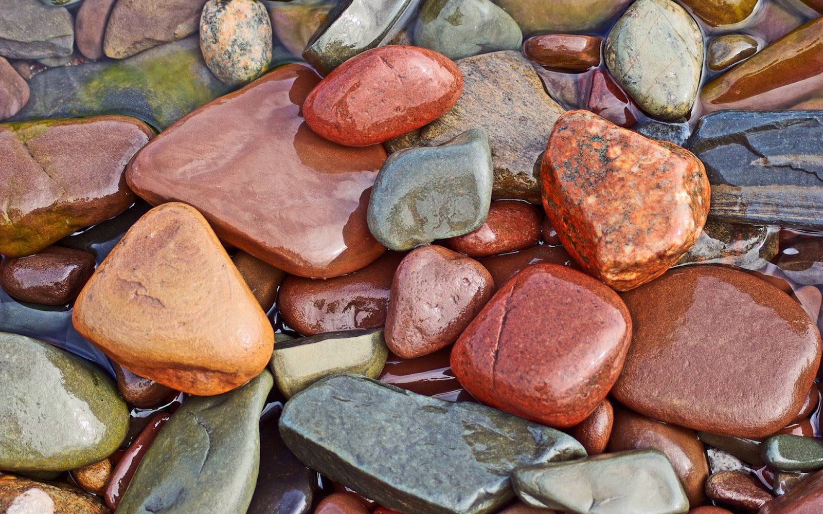 don sergio carettoni: I sassi non hanno le ali per volare