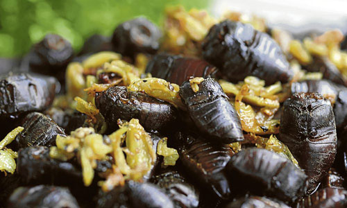 The Ultimate Filipino Exotic Food Must Try - Wandering Dora