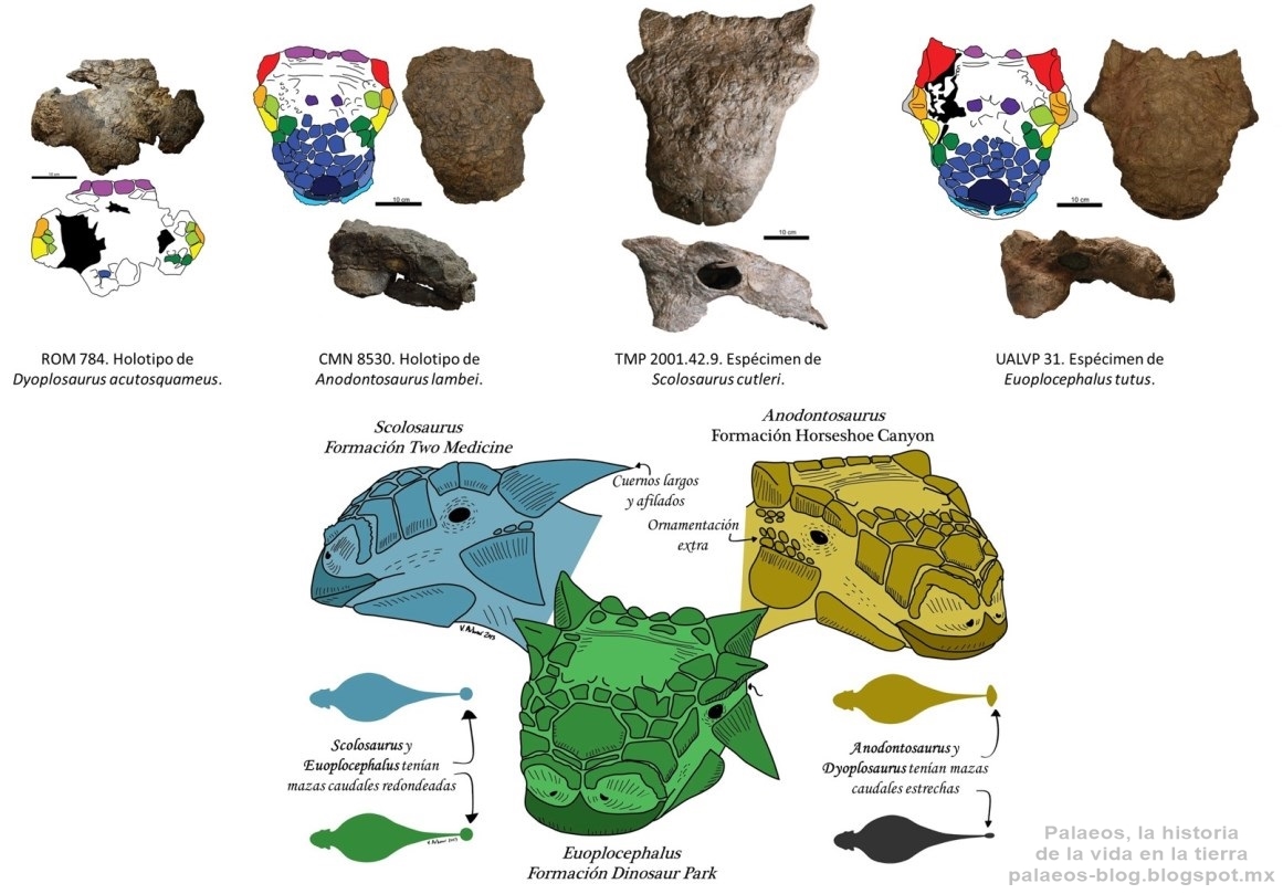 Palaeos, la historia de la Vida en la Tierra: mayo 2013