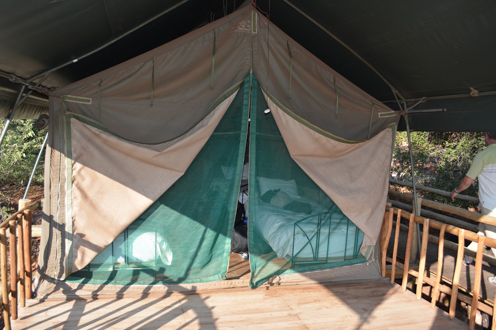 Do I Really Need That Rabies Shot...? : Kruger National Park--> Ha ...