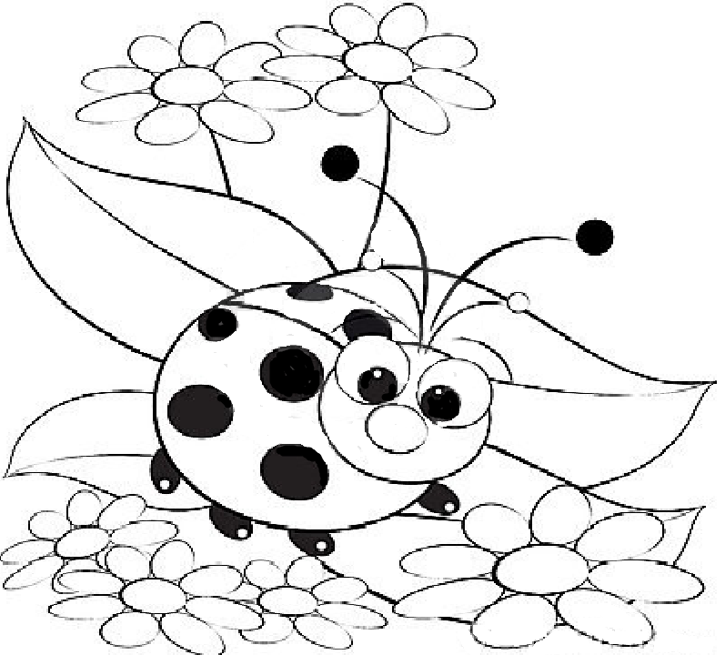 IMAGINI cu GARGARITE de colorat :: Fise de lucru - gradinita si scoala