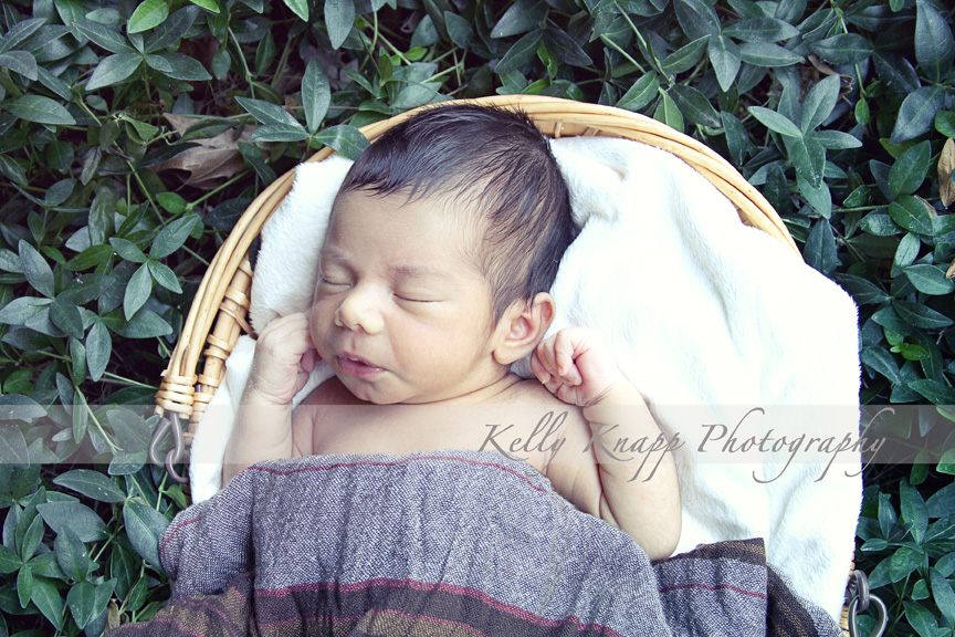 Kelly Knapp Photography