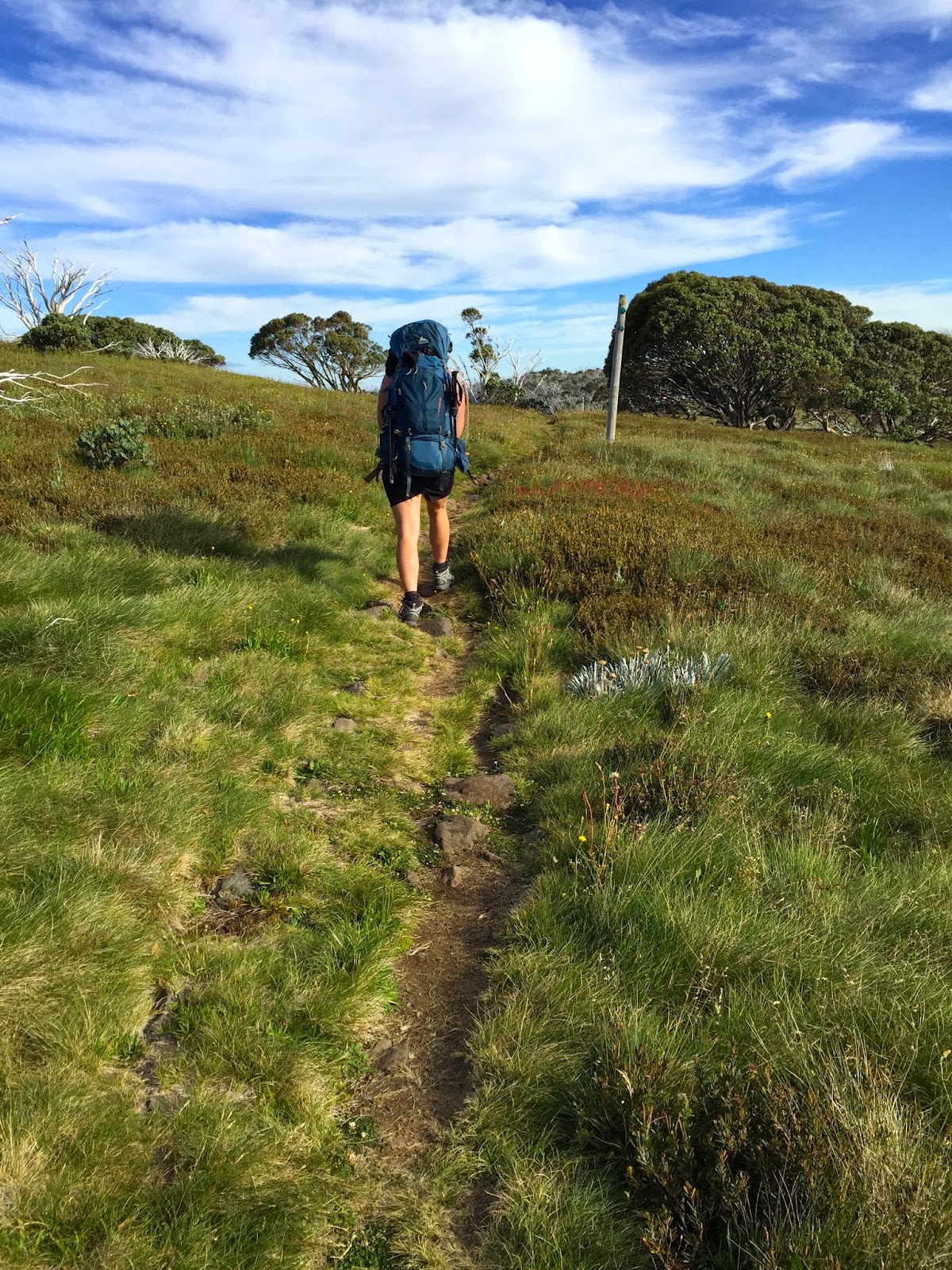 Walking The Parks: Two Rivers Circuit & Day Trip - Alpine National Park VIC