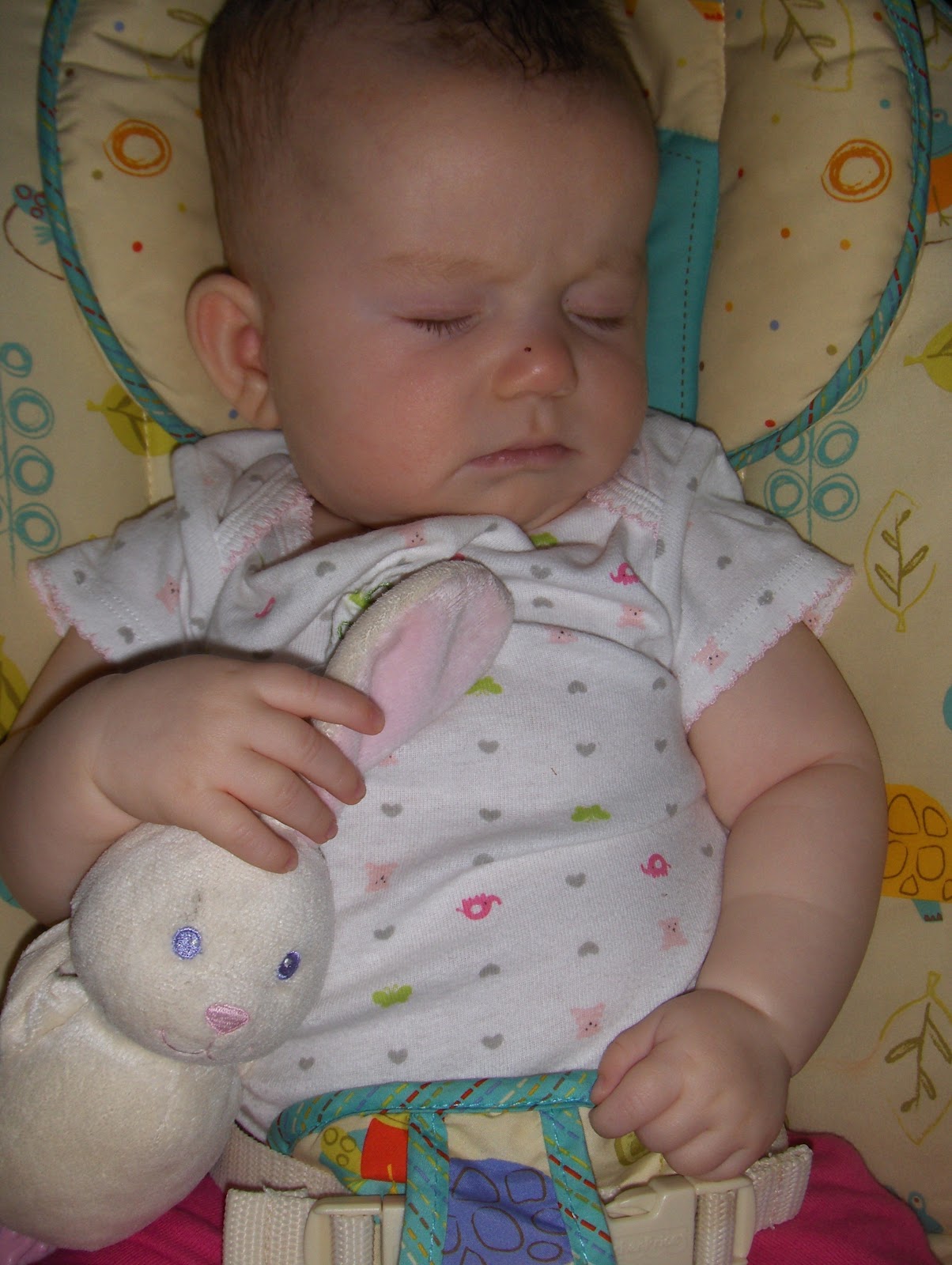 Josh & Stacy's Adventures