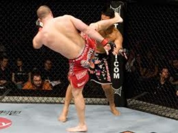 Bleed UFC: Insane UFC Kicks