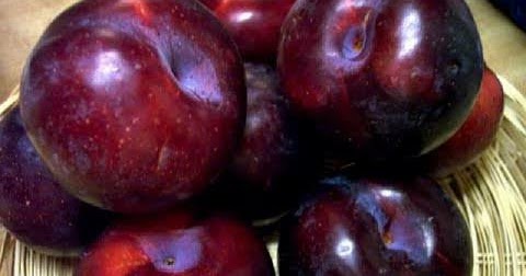 San Andrés mi Barrio