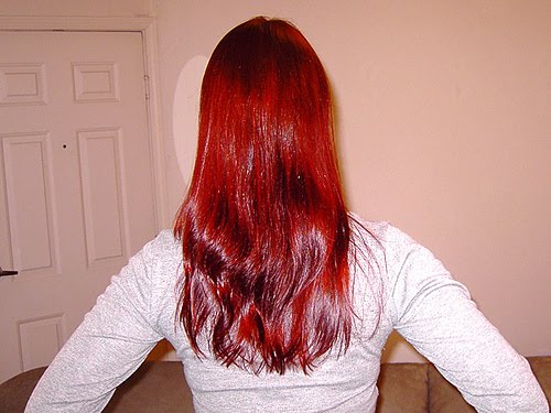 Chat On The Nile How To Dye Hair With Henna chat-on-the-nile-how-to-dye-hair-with-henna