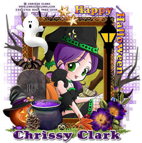 ROSA TAGS: TAG 86 DEL 2016. CHRISSY CLARK.