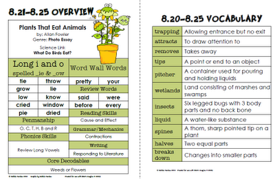 Sailing Through 1st Grade: Unit 8 Open Court Imagine It! Support Materials