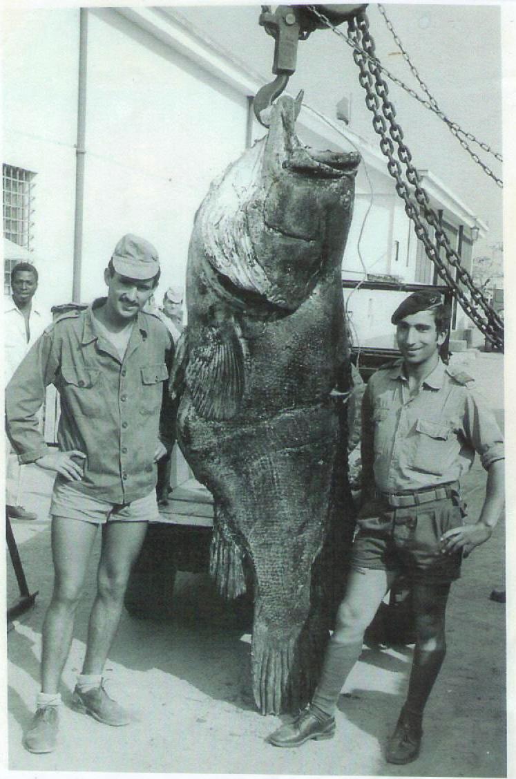 BCAC 2877 - Angola 1969 - 1971: Ambrizete - Julho de 1971