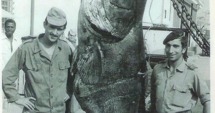 BCAC 2877 - Angola 1969 - 1971: Ambrizete - Julho de 1971