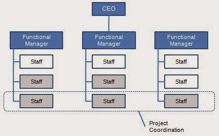 Project Management:Organizational Culture, Structure and Strategy
