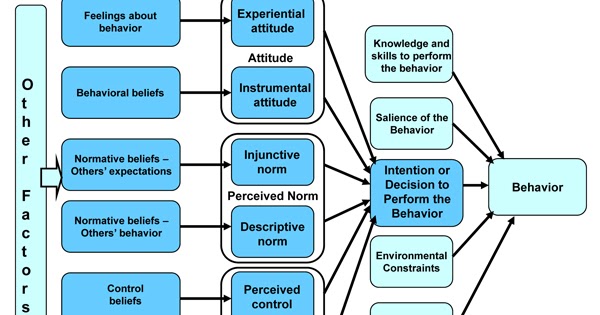 Sinergia: Modelos sobre la conducta social humana: ¿qué determina ...