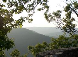 Explore Southern History: The Ozark Howler: Monster Cat in the Ozarks?