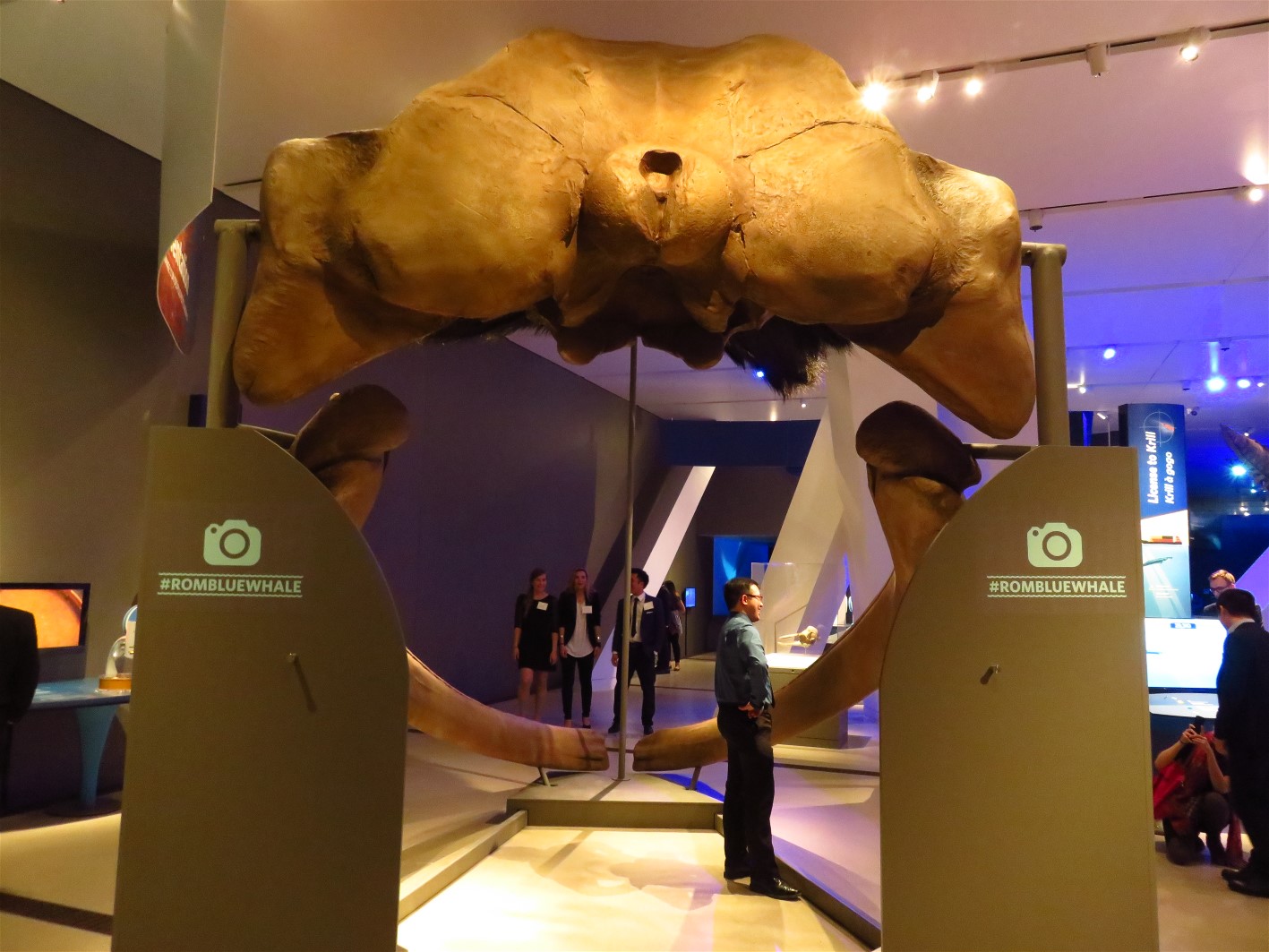 The World of Gord: Out of the Depths, The Blue Whale Exhibit at the ROM