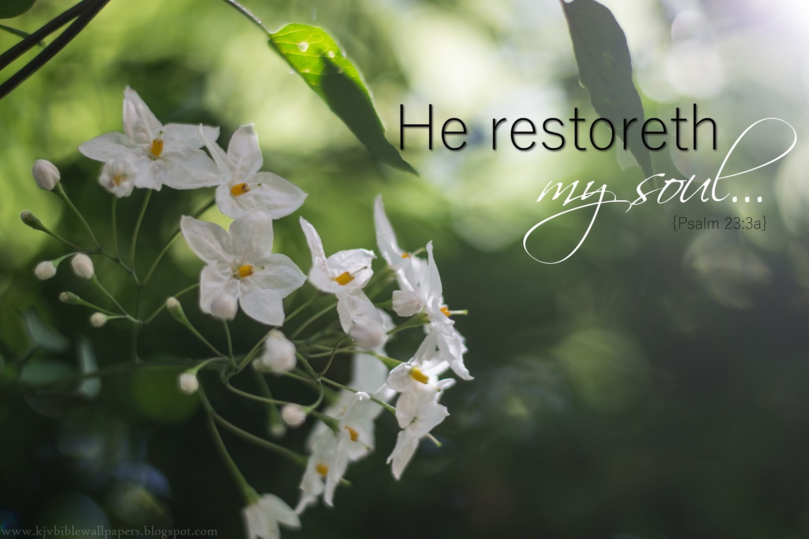 KJV Bible Wallpapers October 2014