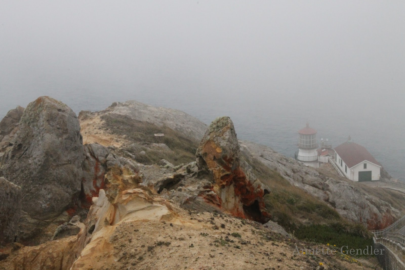 Photo Essay: Point Reyes - Into the Fog - Annette Gendler