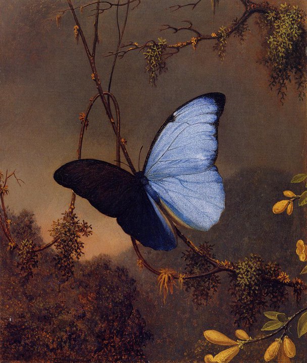 Maher Art Gallery: Martin Johnson Heade 1819-1904