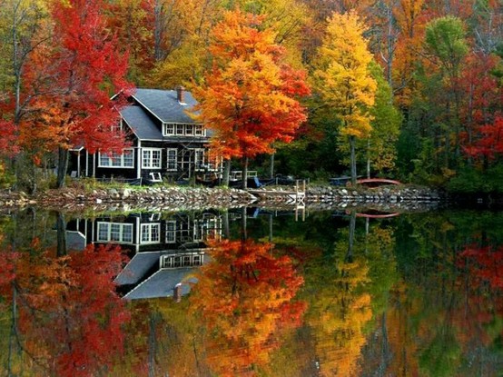 It's Written on the Wall: {Gotta See} Amazing Photos of Fall Scenery-So ...