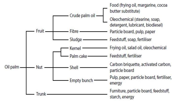 palm oil machine: palm oil making process,how to process palm oil