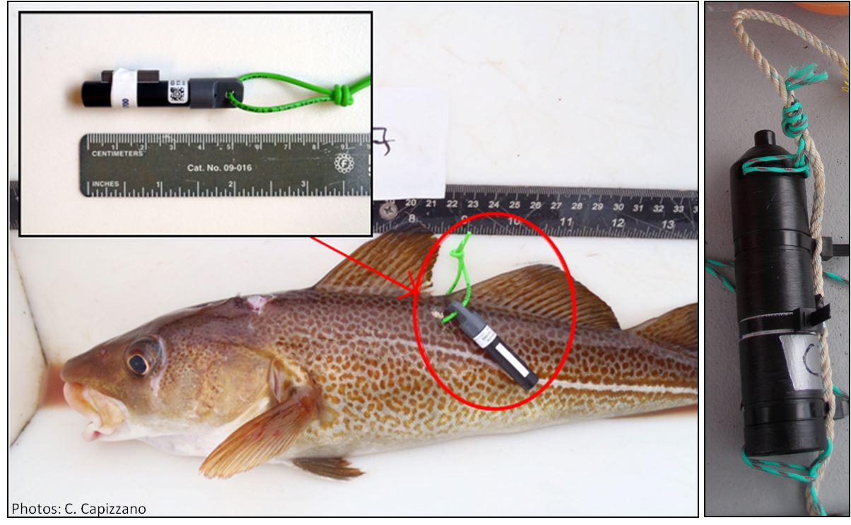 Global Explorers Blog