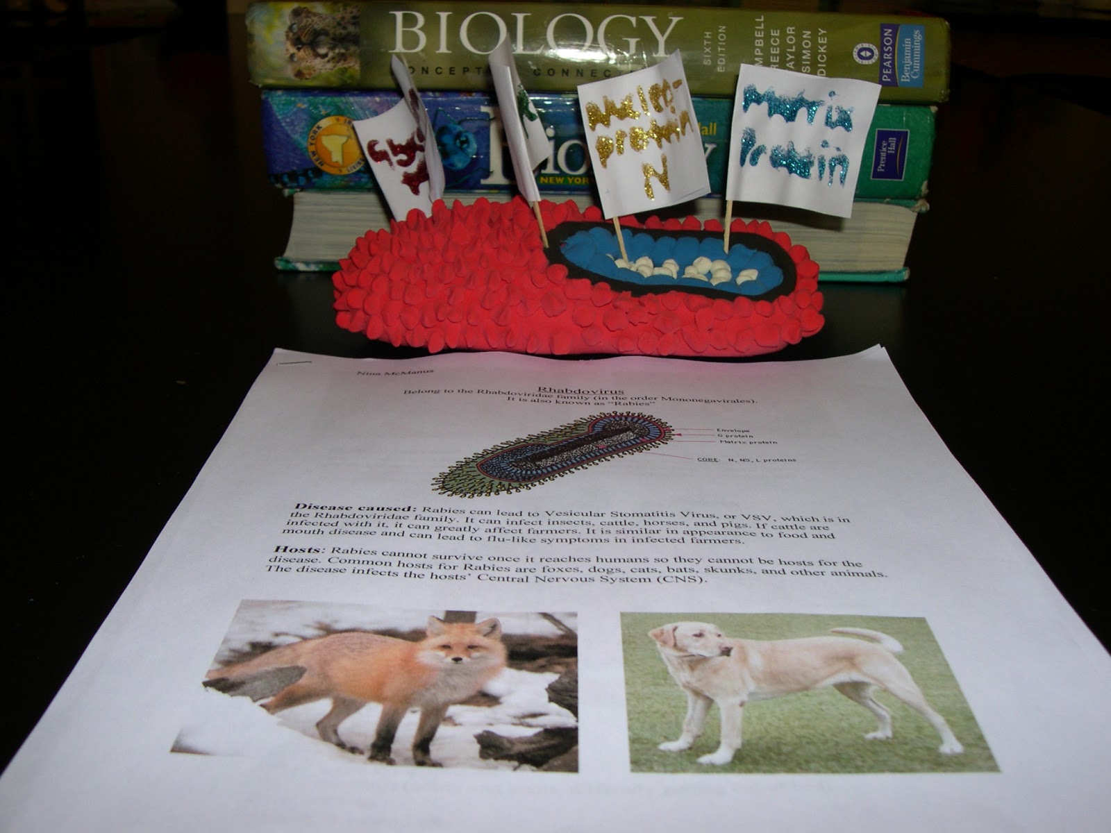 Bronxville Science Department: Honors Biology II Virus Projects