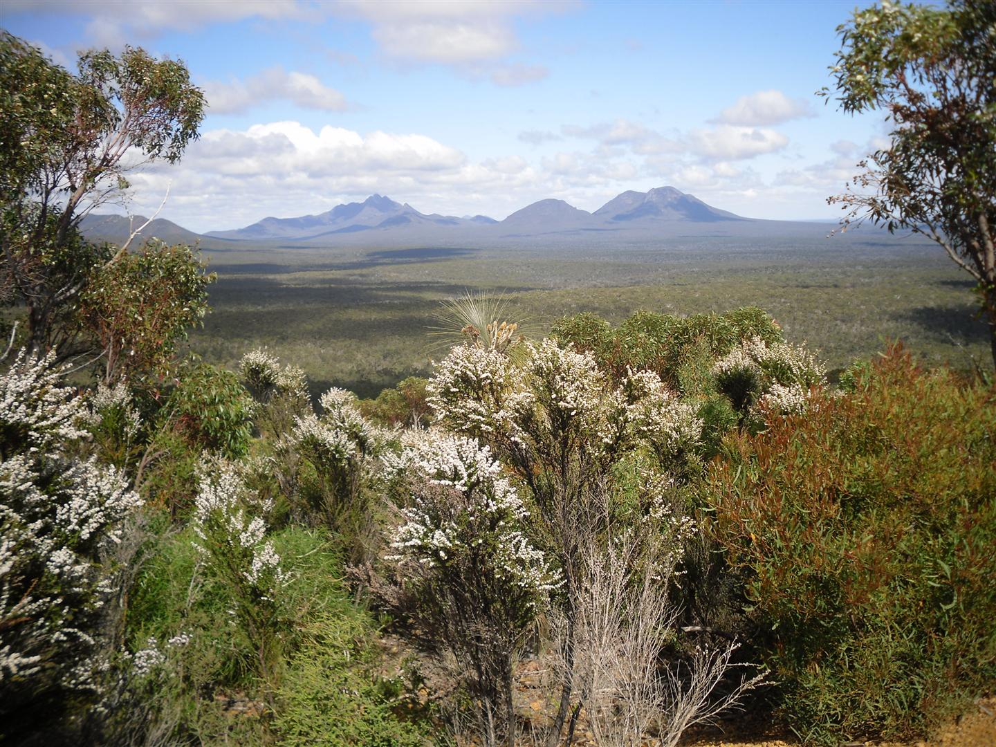 This and That, Here and There: The Stirling Ranges WA