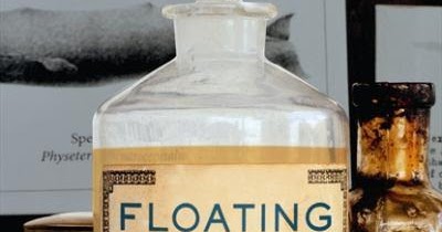 Review: Floating Gold - The Search for Ambergris, The Most Elusive ...