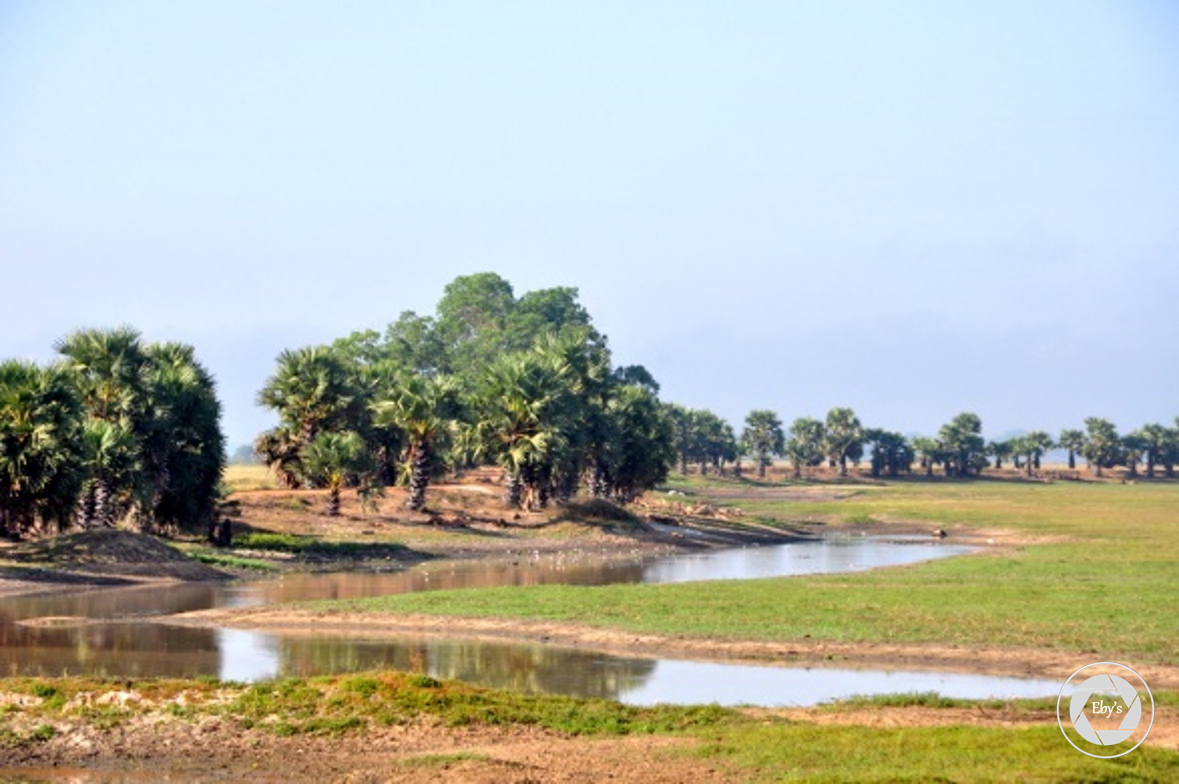 On the Way to Mandur, Sri Lanka