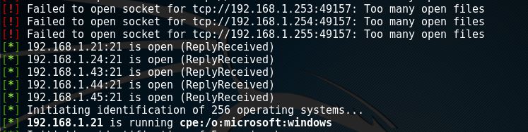 Host Scanner. Descubrimiento de Host y Escaner de Puertos | Pruebas