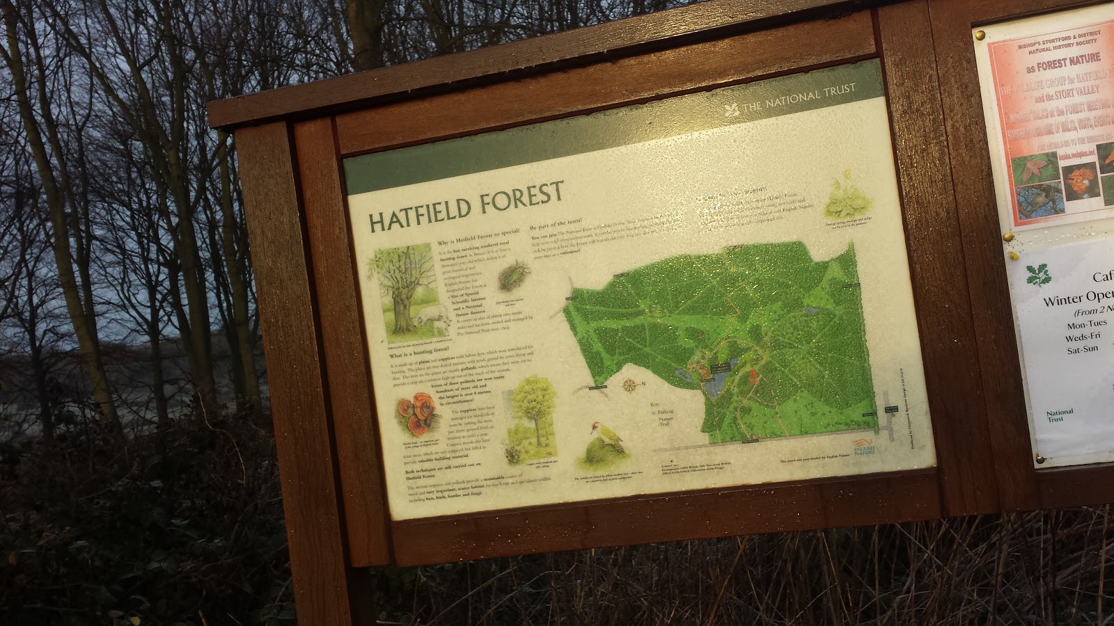 blog7t: Hatfield Forest parkrun